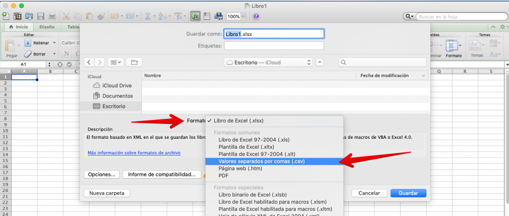 ¿Cómo convierto un fichero Excel en CSV? | Ayuda ConversorSepa.es